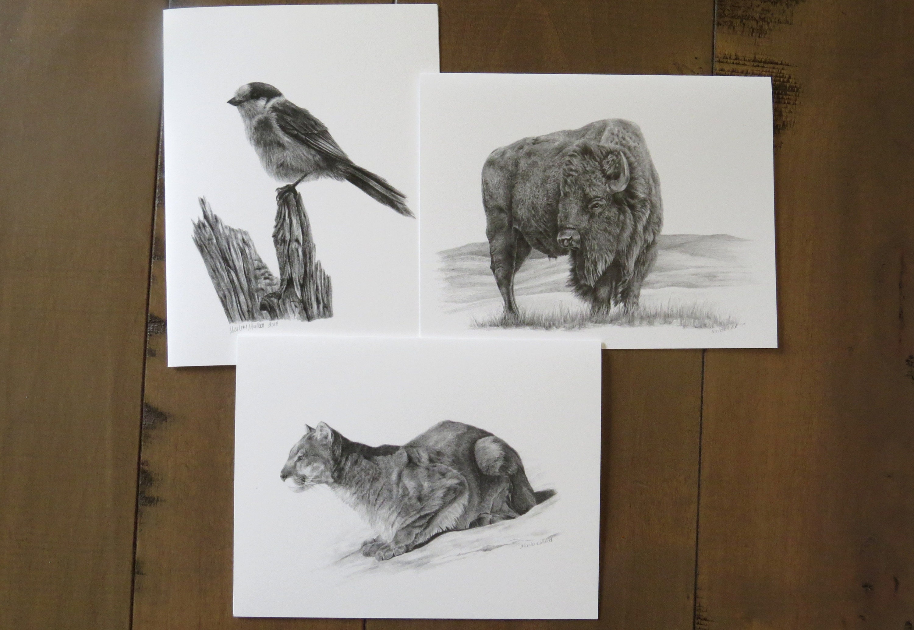 Custom Wildlife Note Cards, Your Choice of 6 Note Cards, Animal Art ...