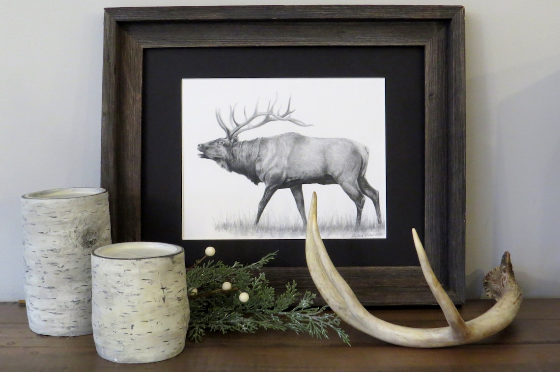 Elk Art Print, Wildlife Art Print, Gift for Outdoorsman, Animal Print ...