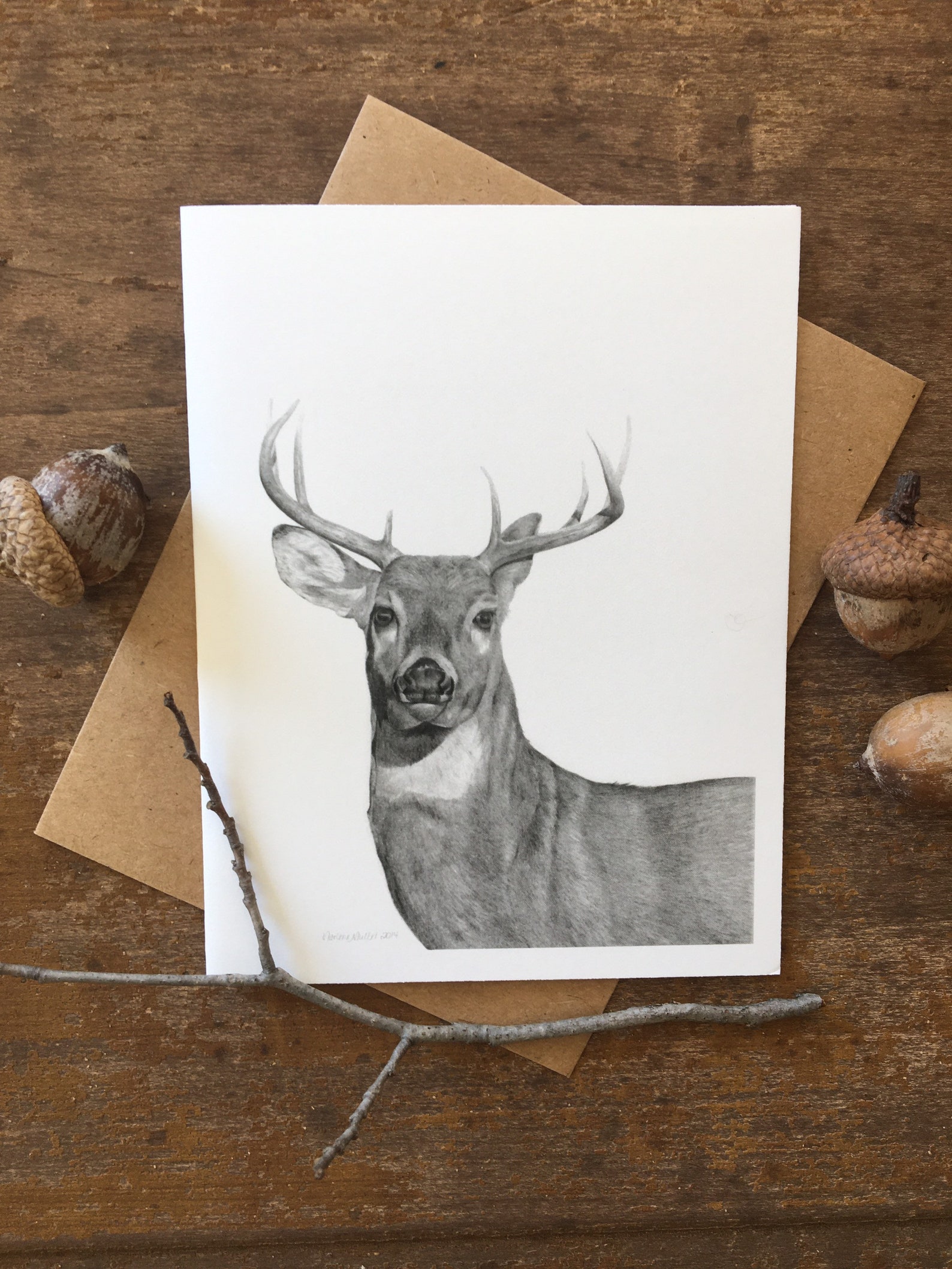 Wildlife Note Cards, Gift for Teacher, Wildlife Art Cards, Stationery ...