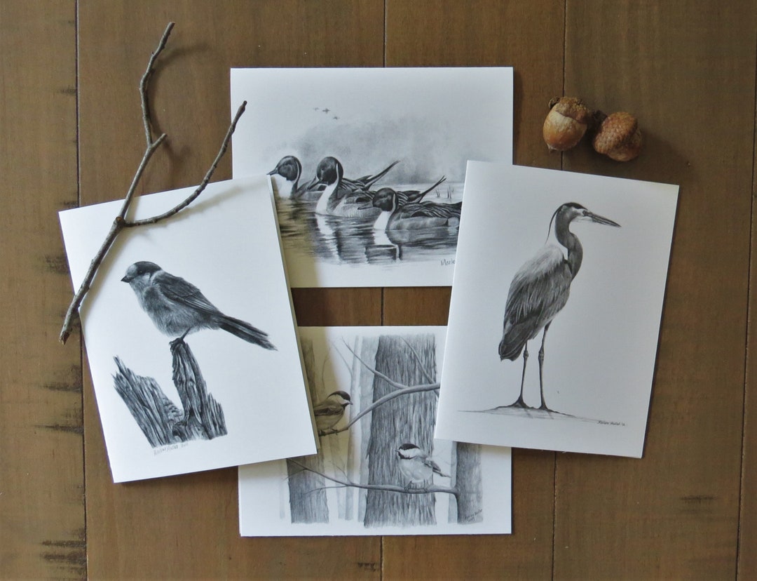 Bird Note Card Set Bird Stationary Card Wildlife Bird Card - Etsy