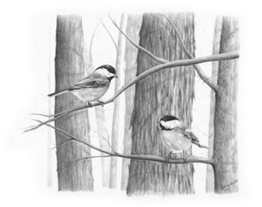 Chickadees Original Drawing, Original Artwork, Original Wildlife Art ...