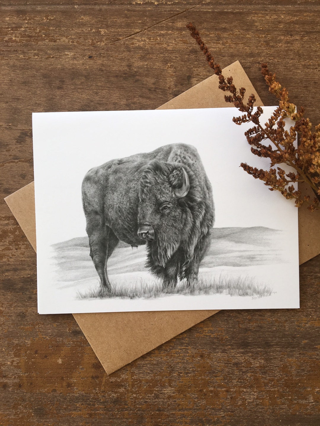Bison Note Card Set Wildlife Card Bison Card Buffalo Art - Etsy