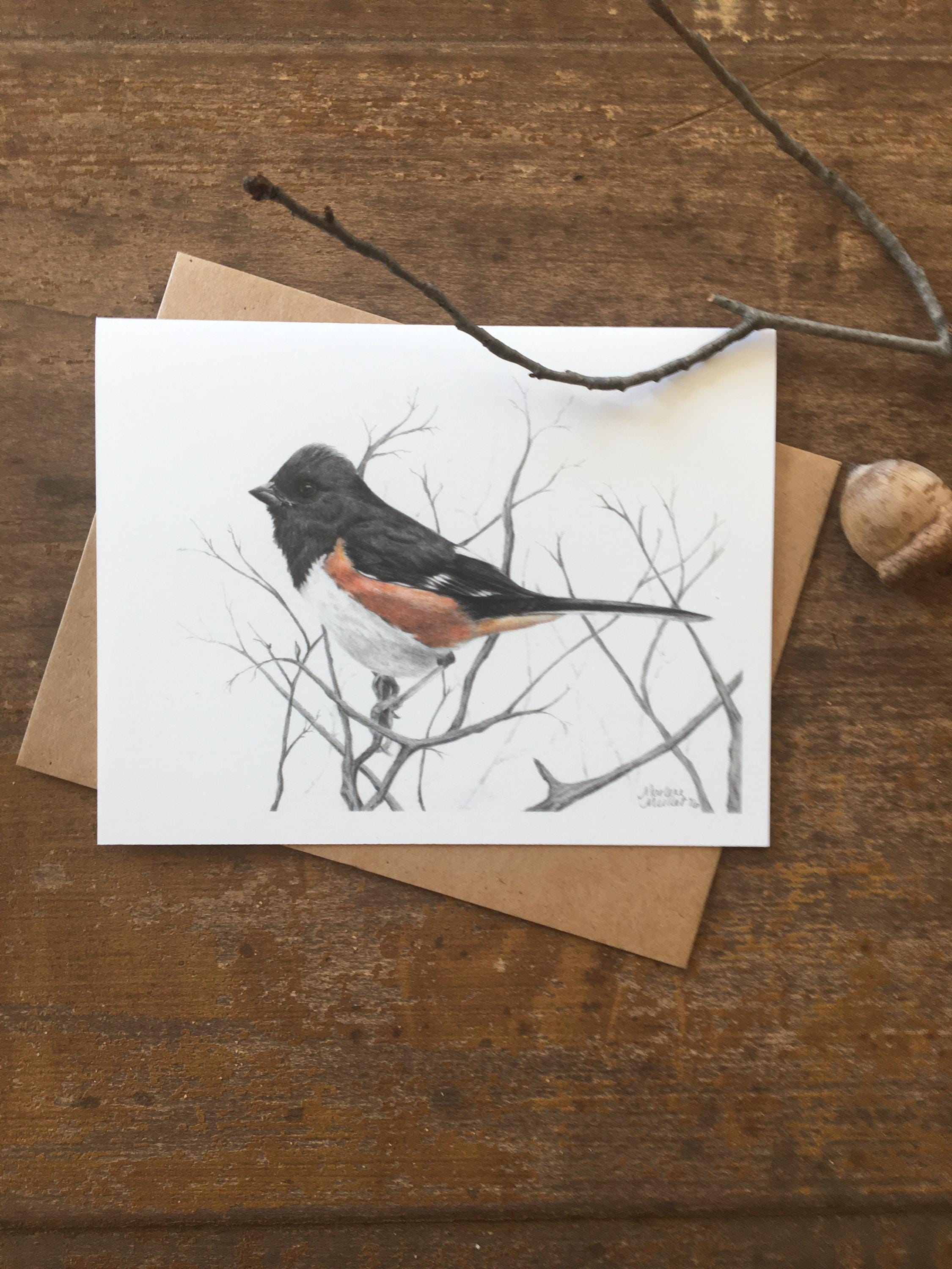 Backyard Birds Note Card Set, Bird Stationary, Hand Drawn Art Card, Set ...