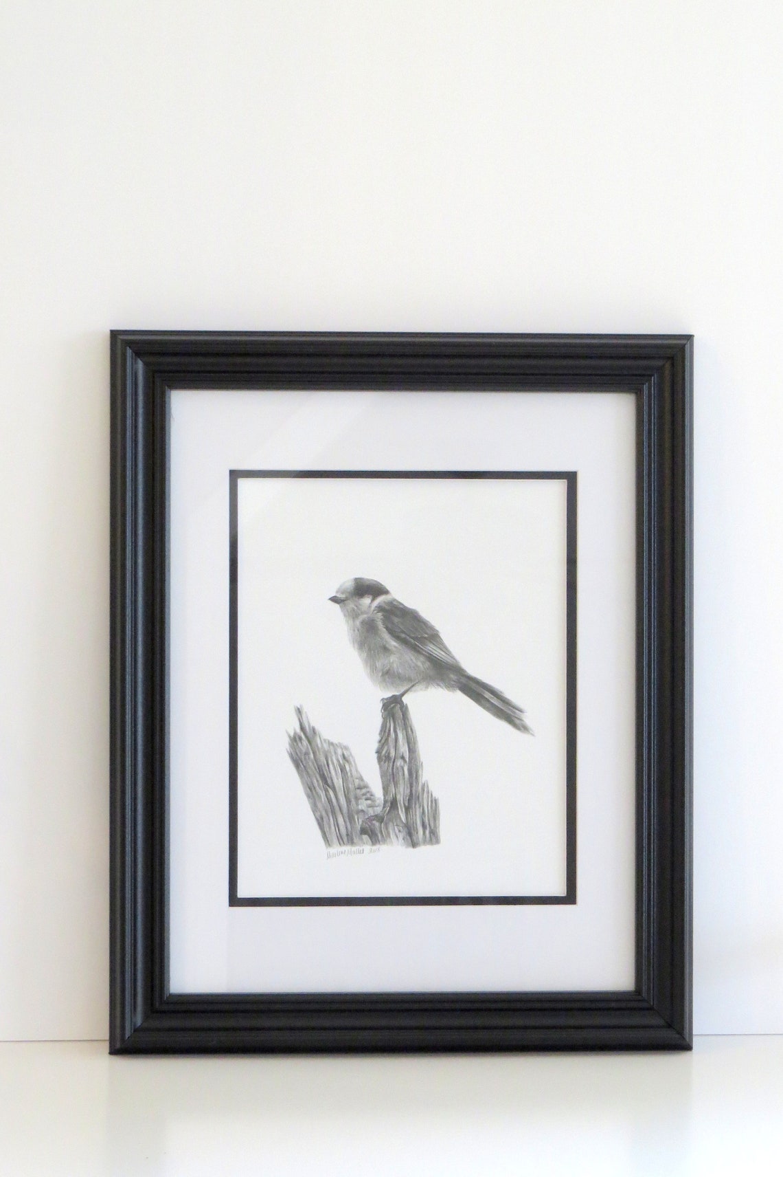Gray Jay Art Print Bird Art Print Wildlife Decor Gift Cabin - Etsy