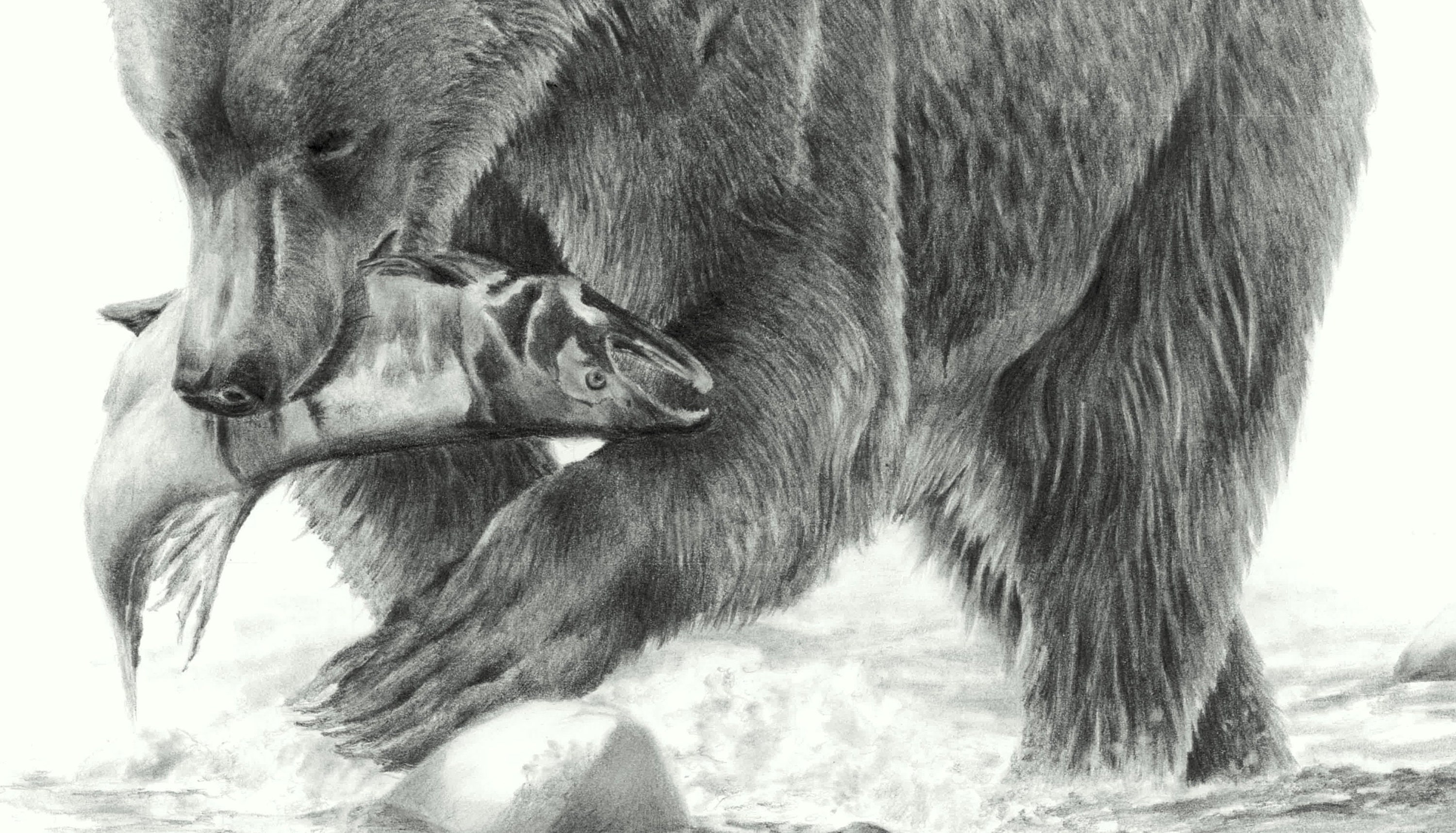 Grizzly Bear Notecards, Set of Wildlife Art Cards, Cards for Kids ...