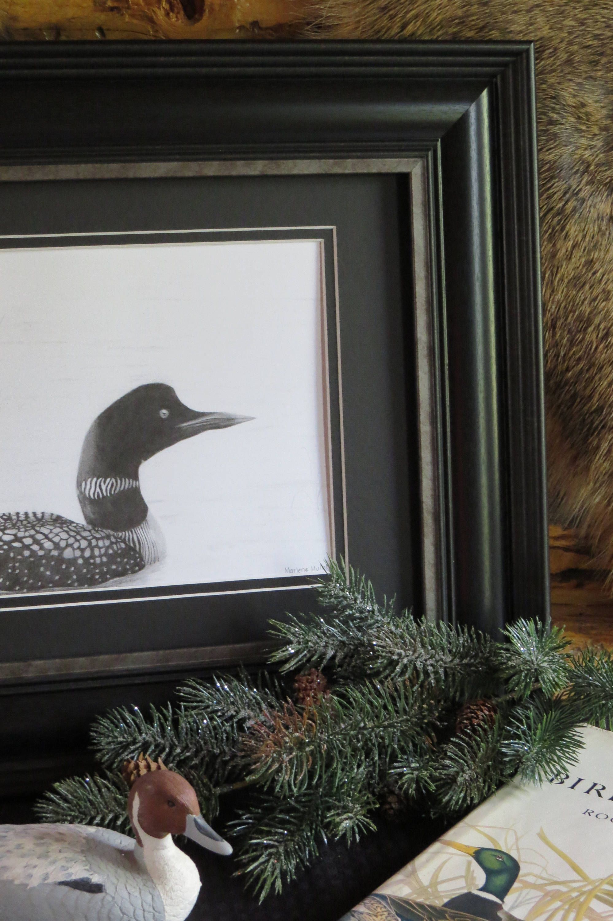 Loon Art Print, Wildlife Wall Art, Bird Pencil Drawing, Common Loon ...