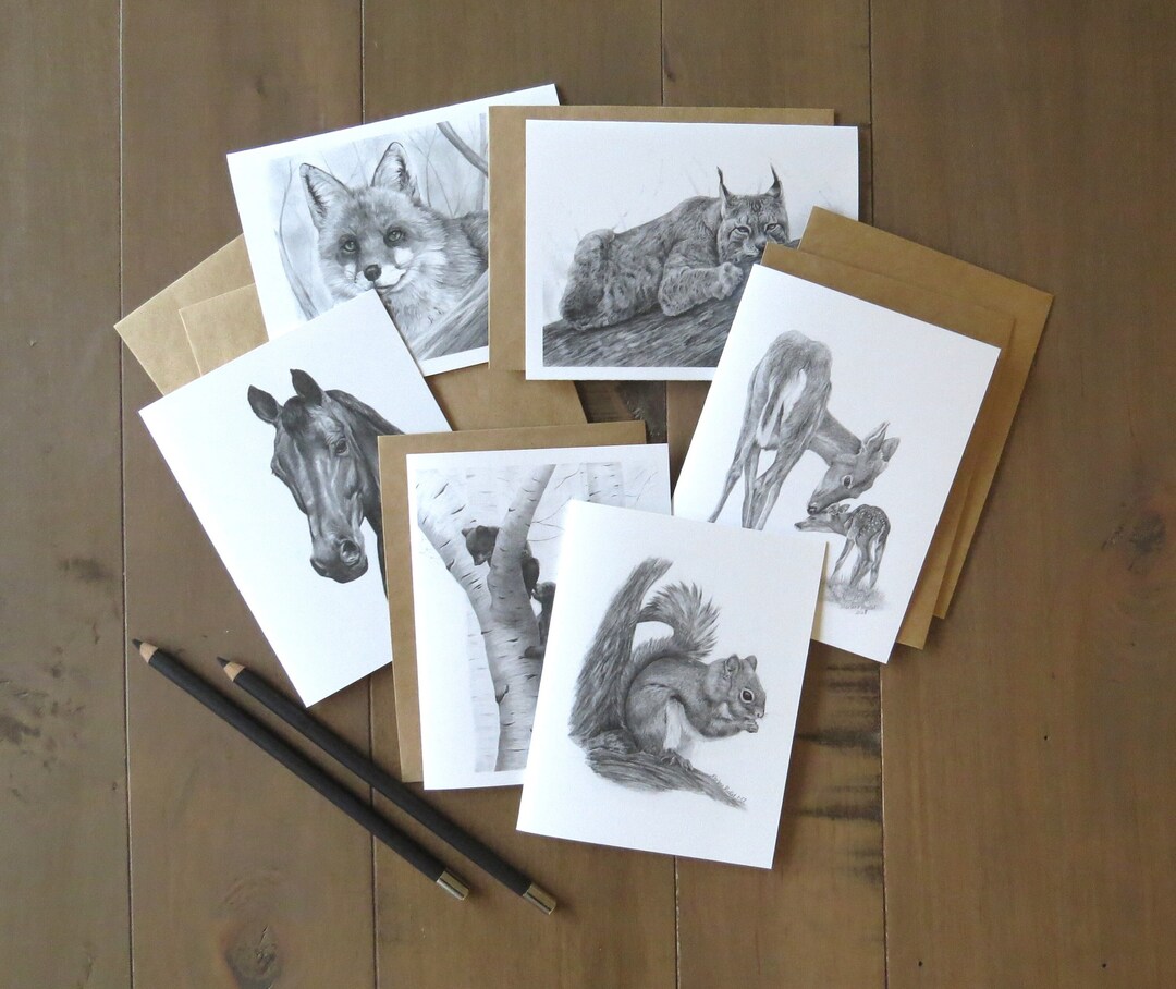 Kid's Note Card Set, Wildlife Art Card, Cards for Kids, Nature ...