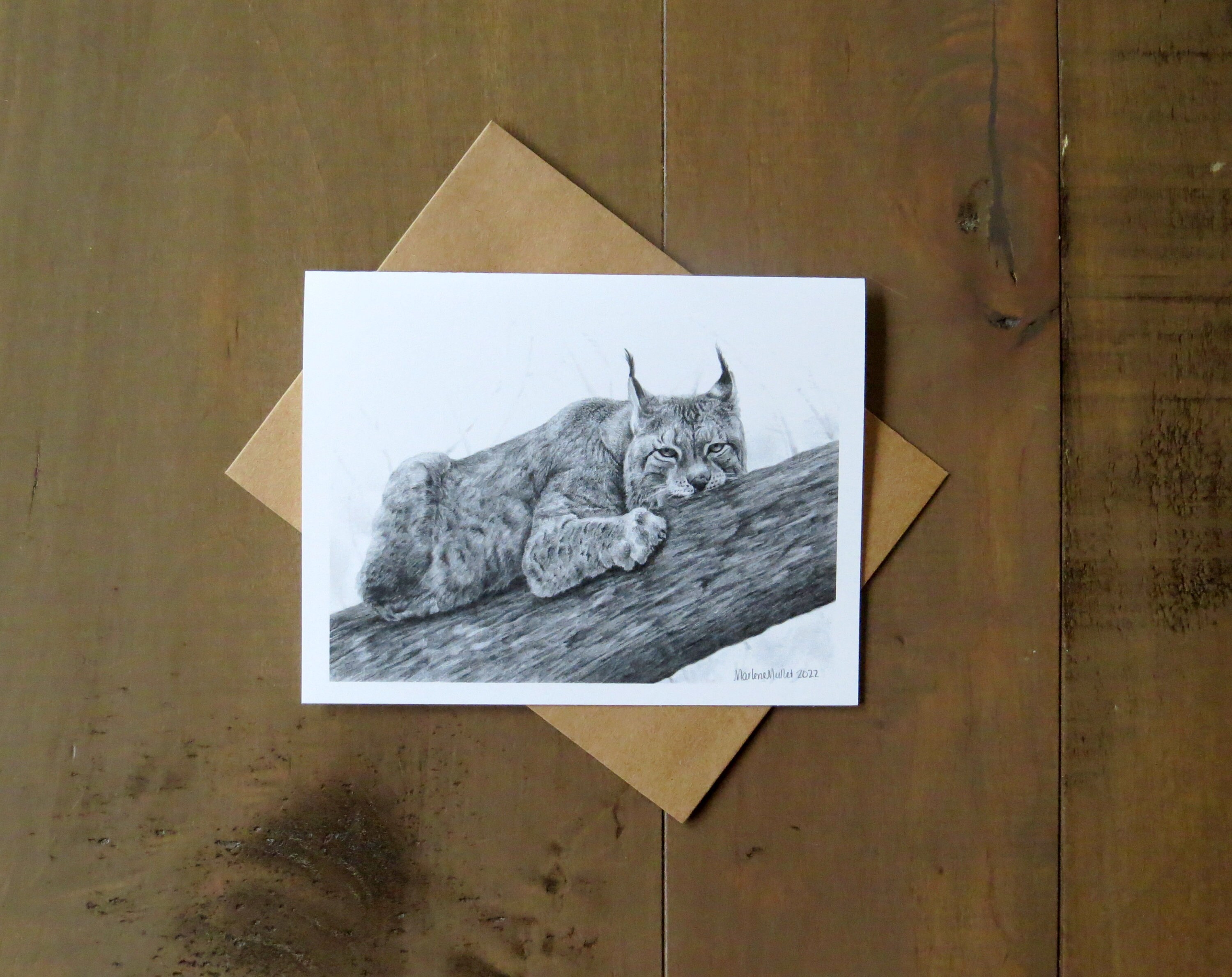 Wilderness Animals Note Card Set, Nature Card, Wildlife Art Card, Card ...