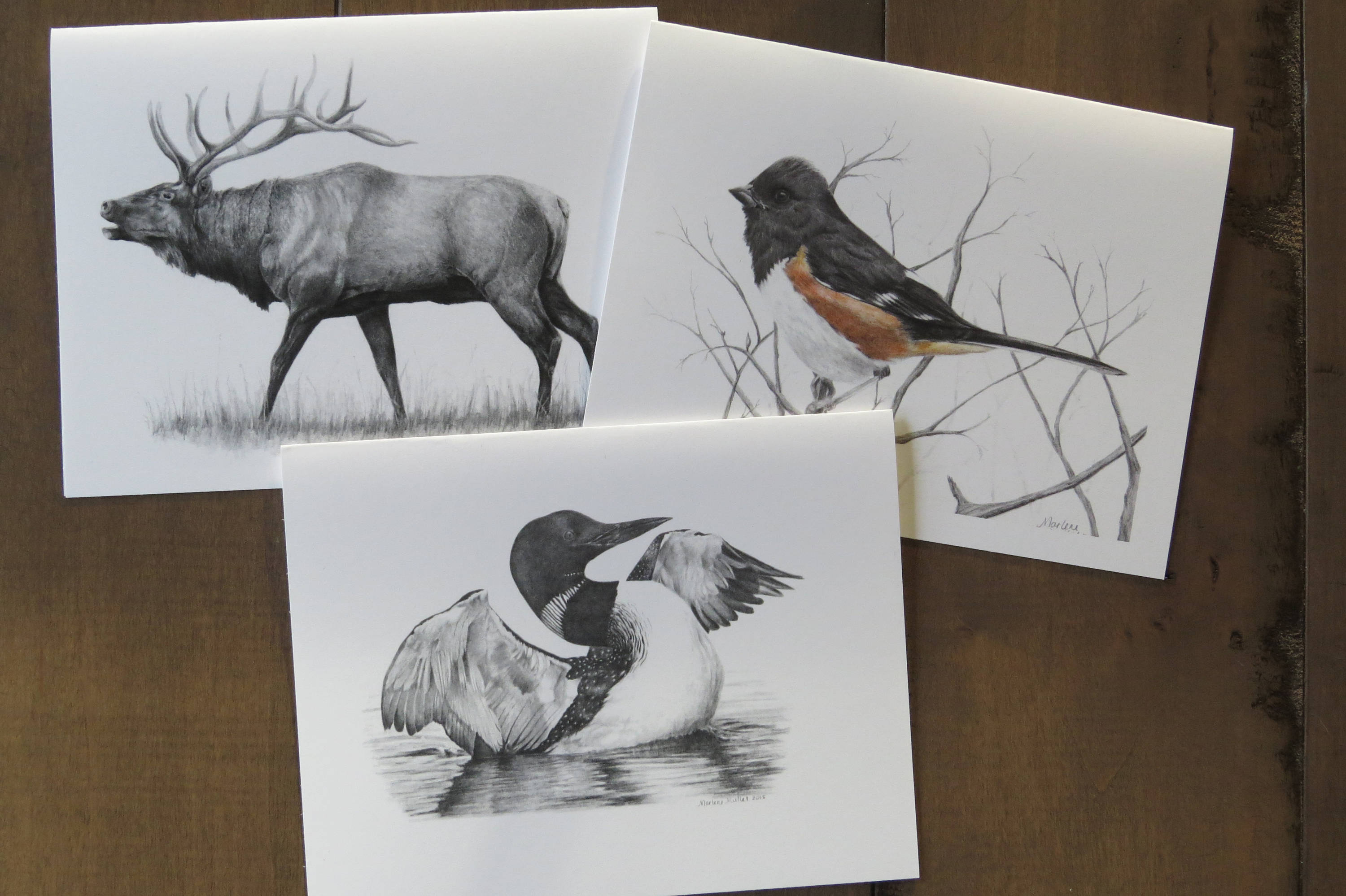 Custom Wildlife Note Cards, Your Choice of 4 Note Cards, Wildlife Art ...
