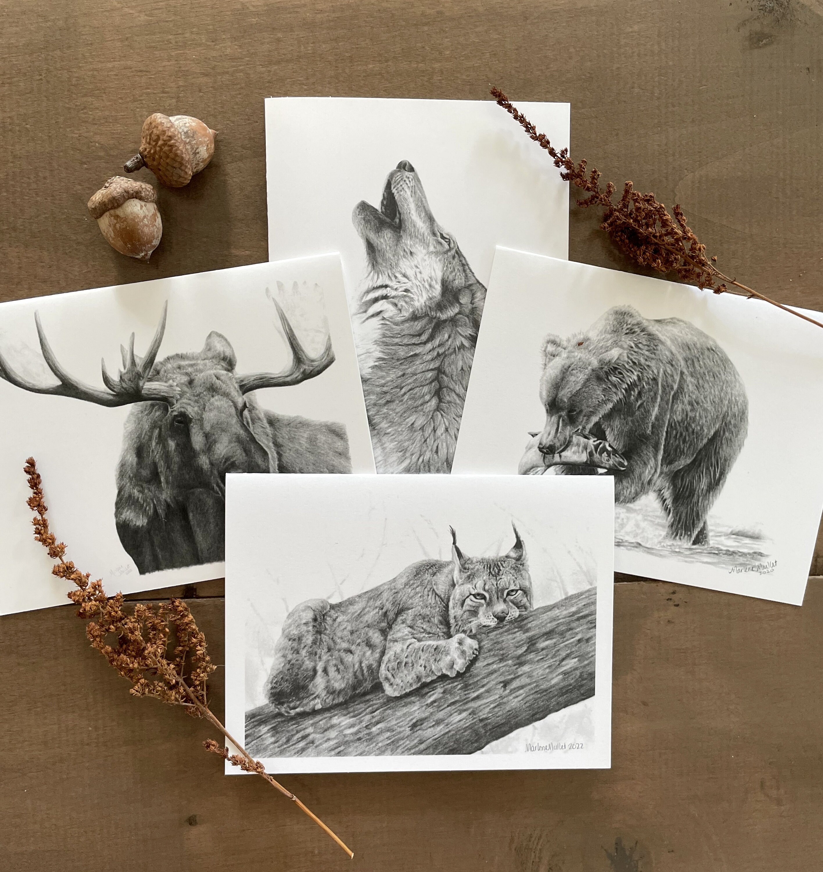 Wilderness Animals Note Card Set, Nature Card, Wildlife Art Card, Card ...