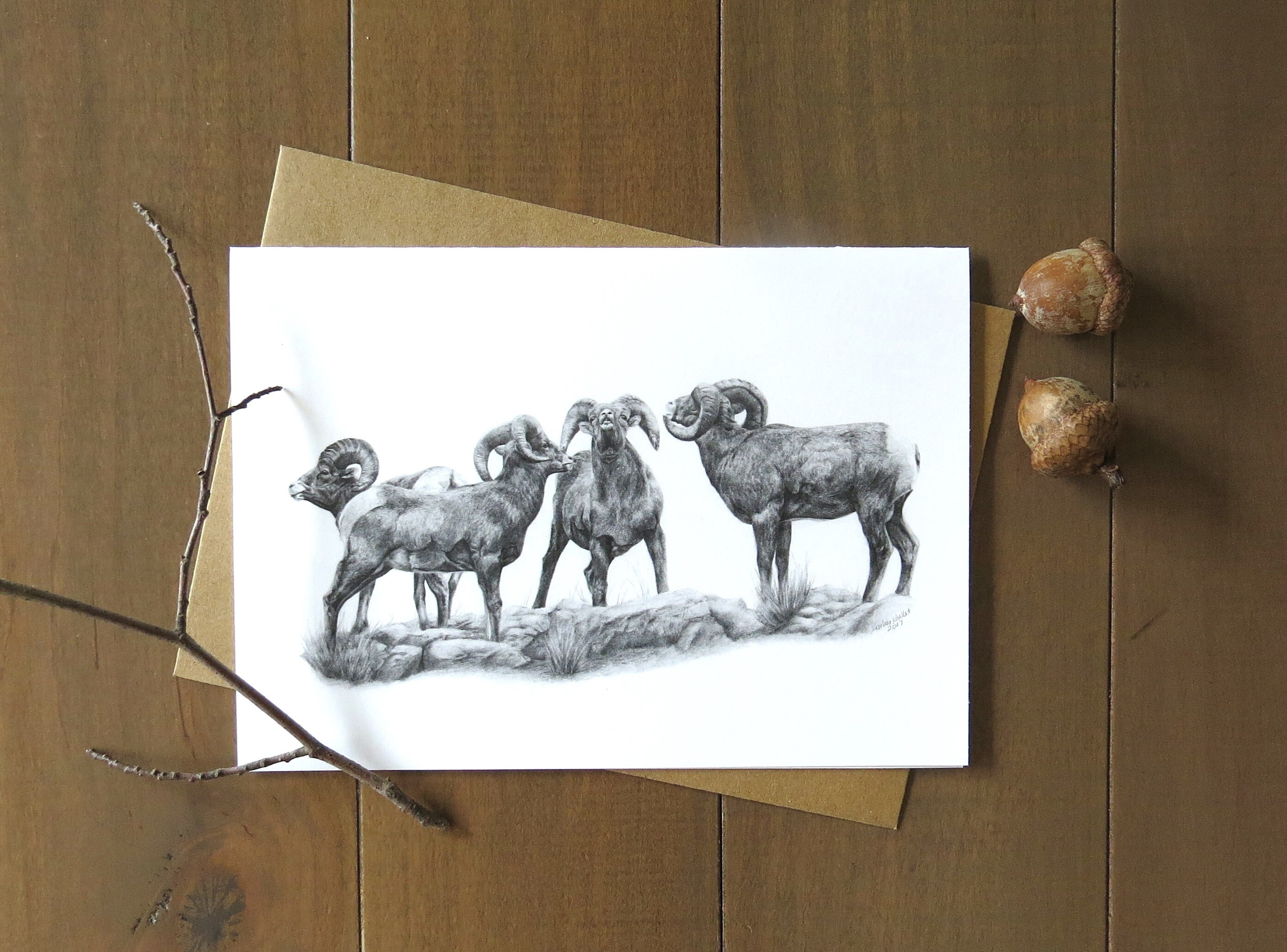 Bighorn Sheep Note Card Set, Wildlife Art Card, Nature Note Card ...
