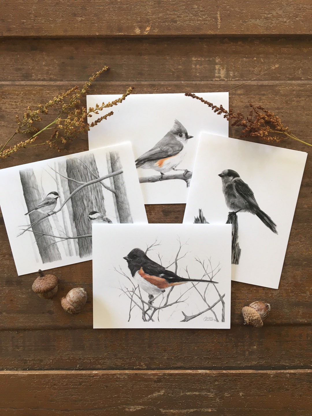 Bird Note Card Set, Set of 4 Cards, Stationary Card, Wildlife Art Cards ...