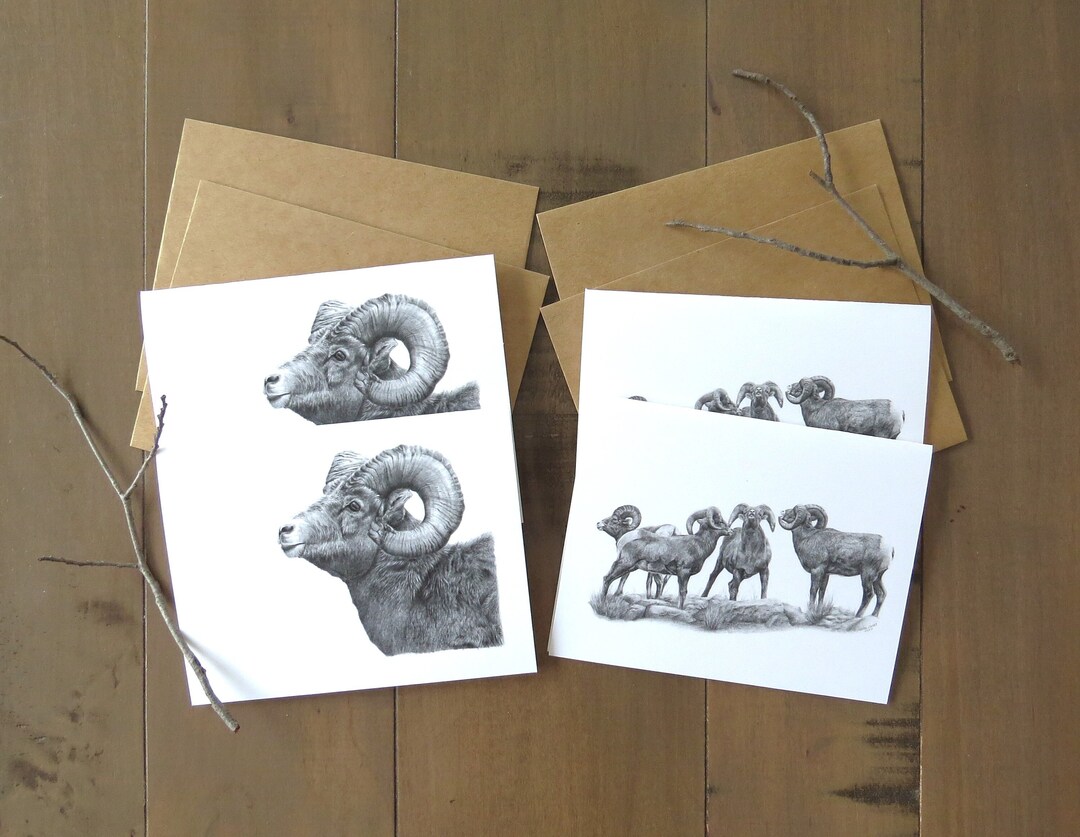 Bighorn Sheep Note Card Set, Wildlife Art Card, Nature Note Card ...