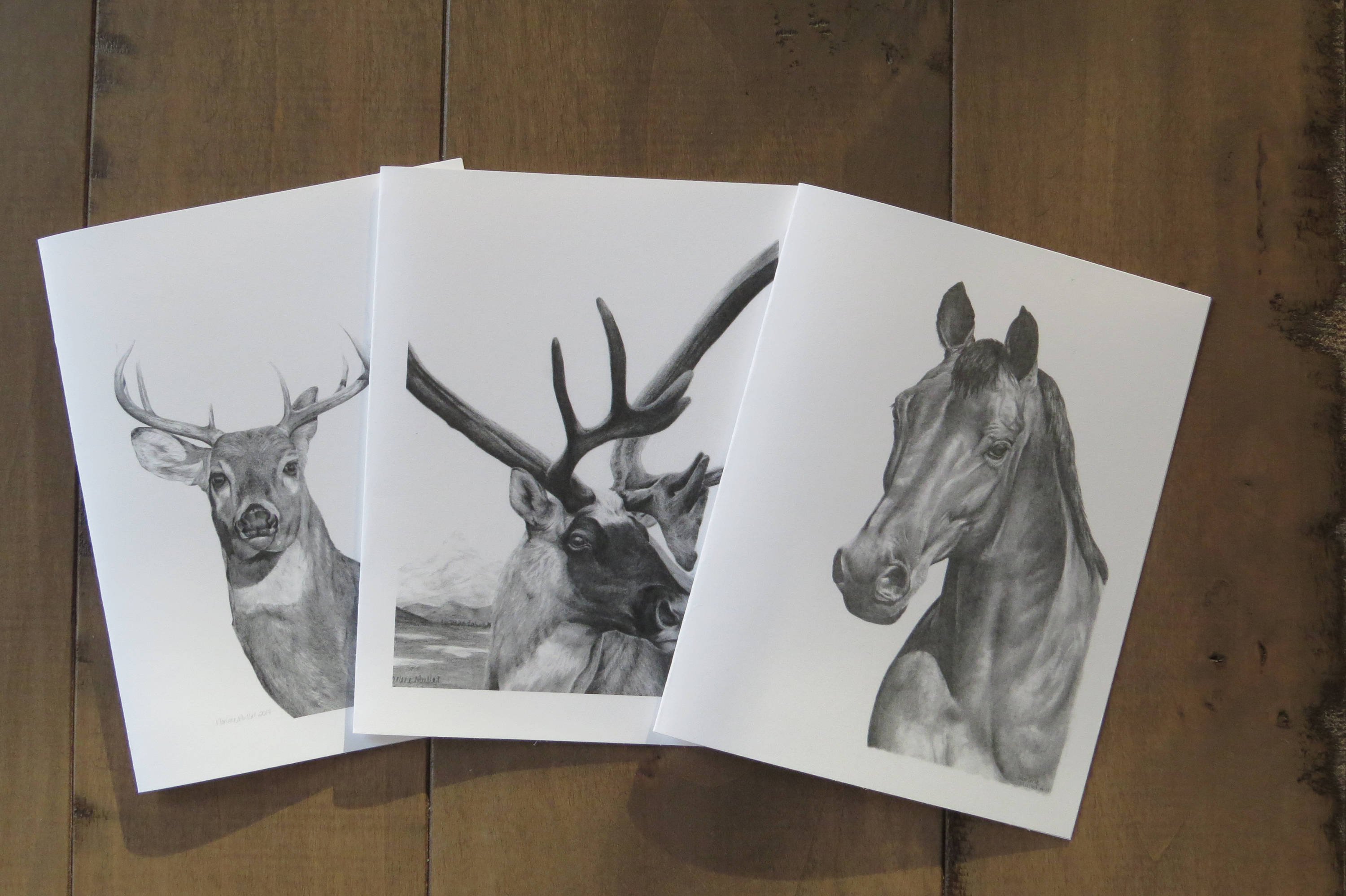 Custom Wildlife Note Cards, Your Choice of 4 Note Cards, Wildlife Art ...