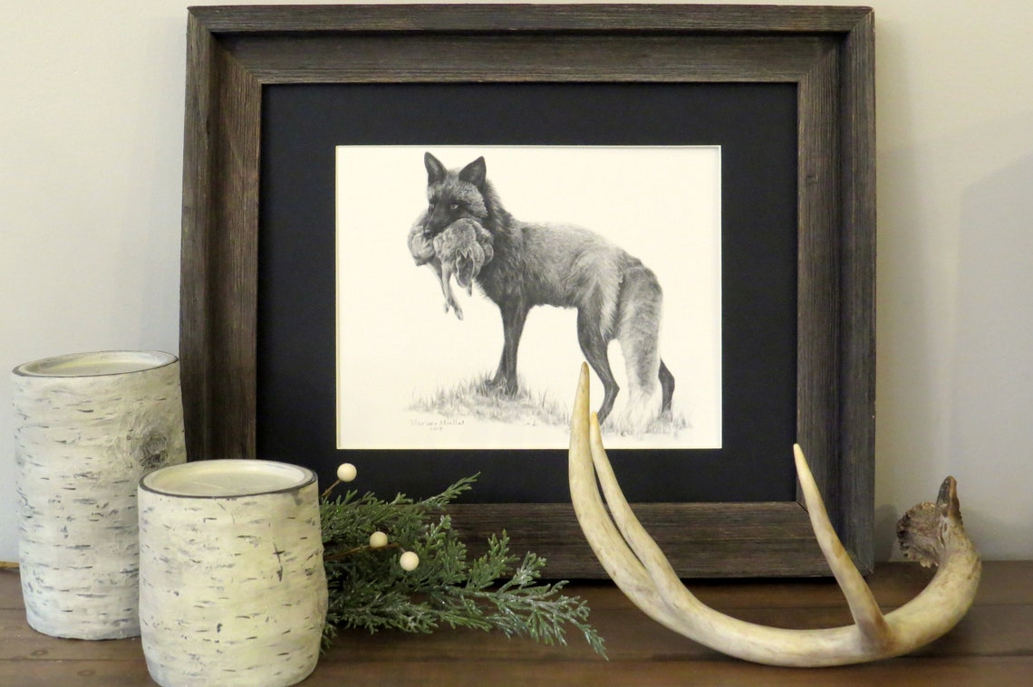 Fox Art Print, Silver Fox, Wildlife Art Print, Wildlife Decor, Fox Wall ...