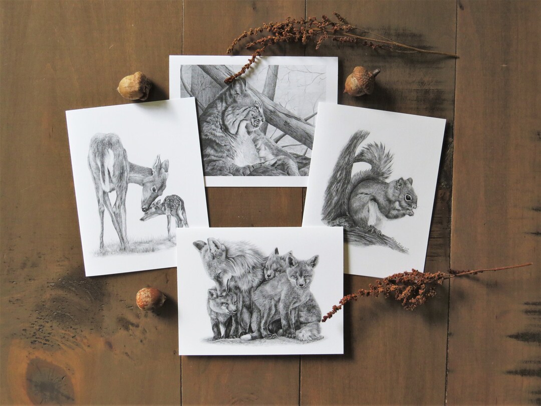 Woodland Animals Note Card Set, Wildlife Art Cards, Kids Stationary ...