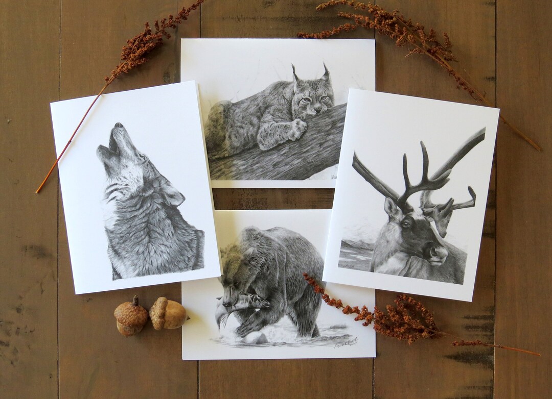 Wildlife Collection Note Card Set, Animal Cards, Cards for Teacher ...