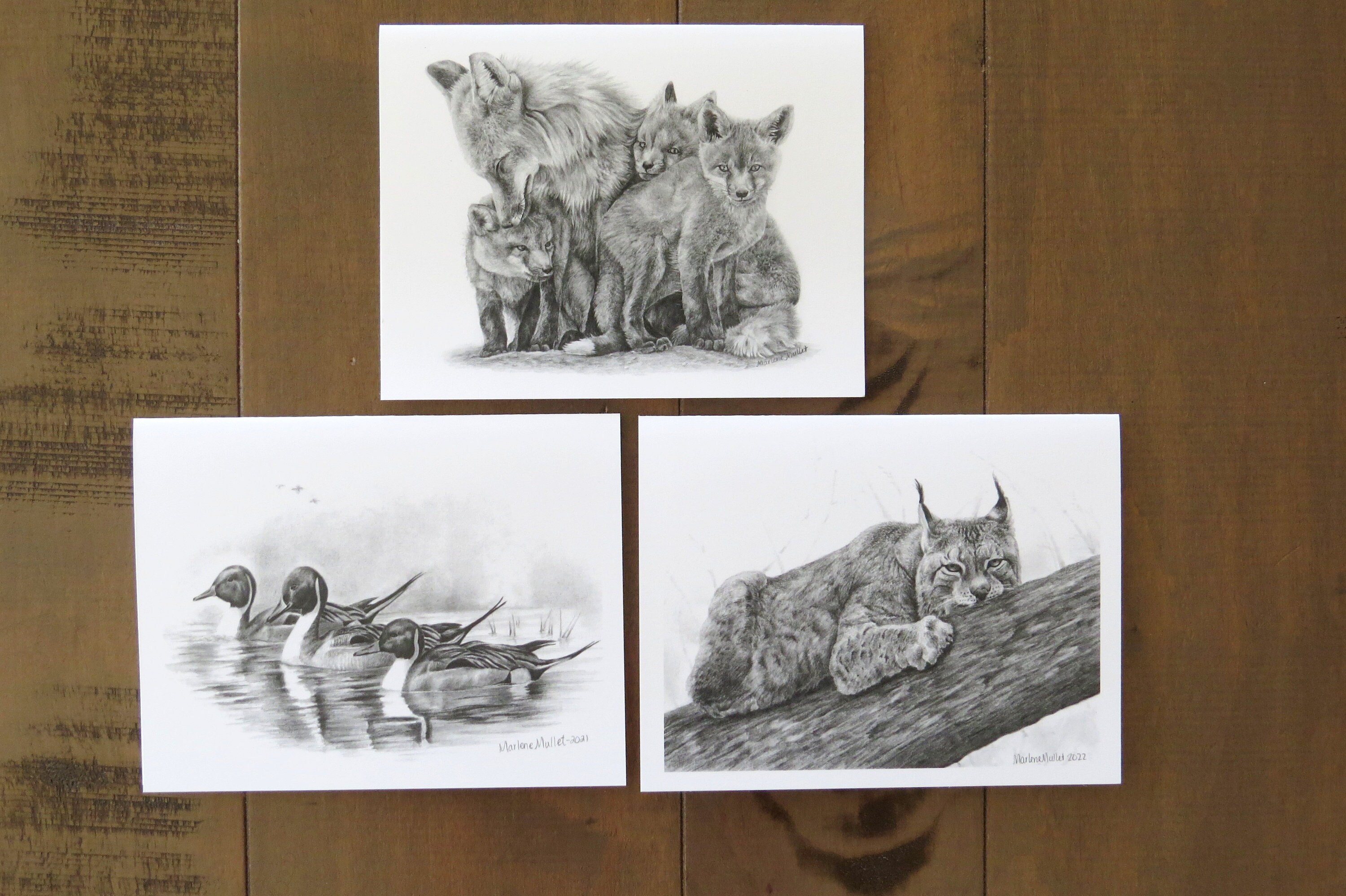Custom Wildlife Note Cards, Your Choice of 4 Note Cards, Wildlife Art ...