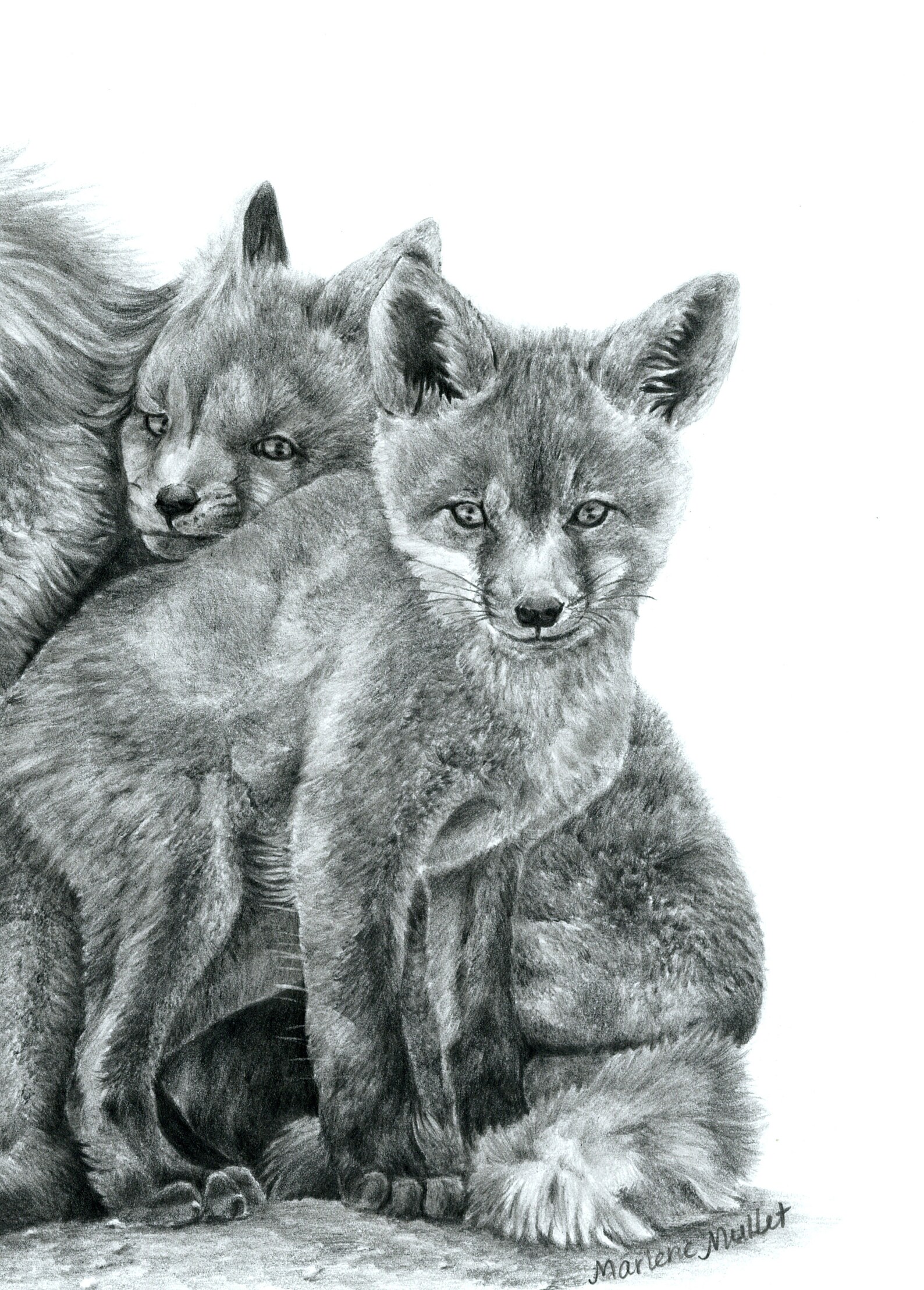 Fox Family Art Print, Wildlife Art for Wall, Fox Decor for Nursery, Fox ...