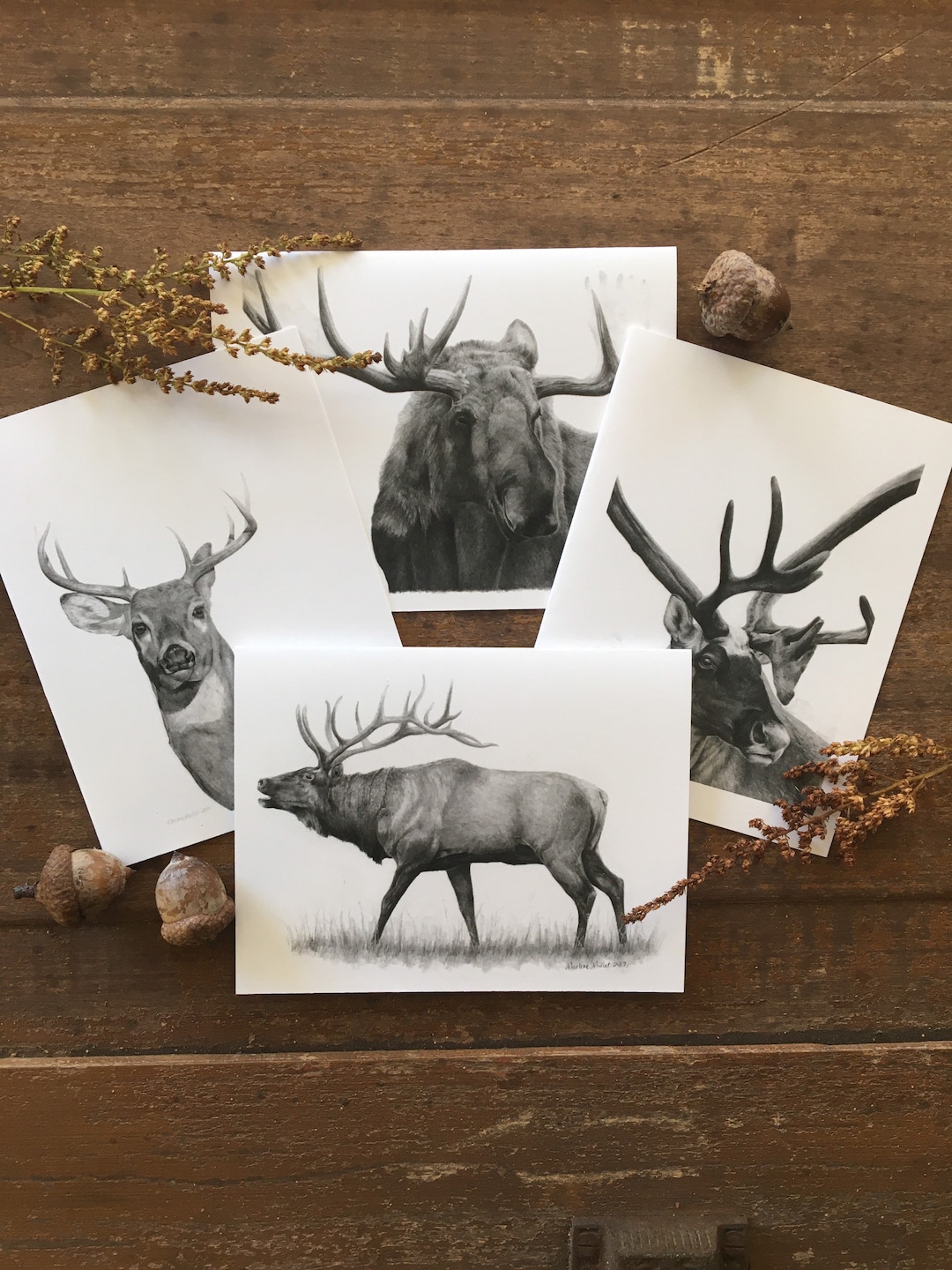 Wildlife Note Cards, Gift for Teacher, Wildlife Art Cards, Stationery ...