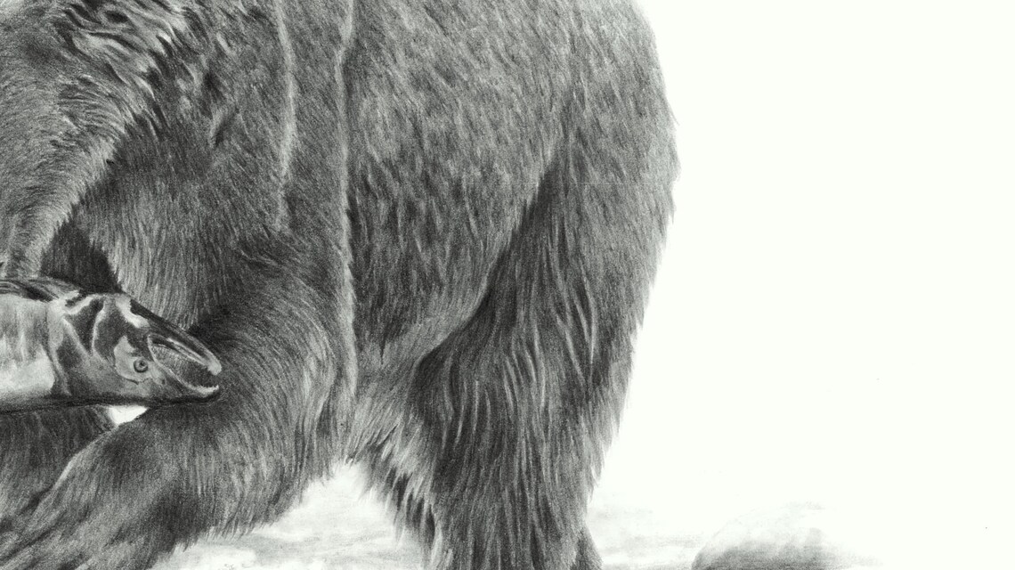 Grizzly Bear Notecards, Set of Wildlife Art Cards, Cards for Kids ...