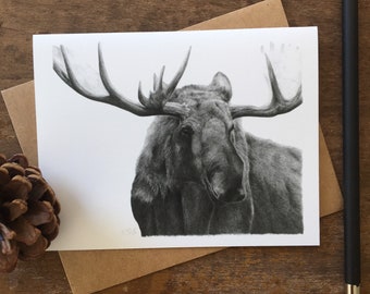 Squirrel Art Print Wildlife Art Decor Wildlife Wall Art - Etsy