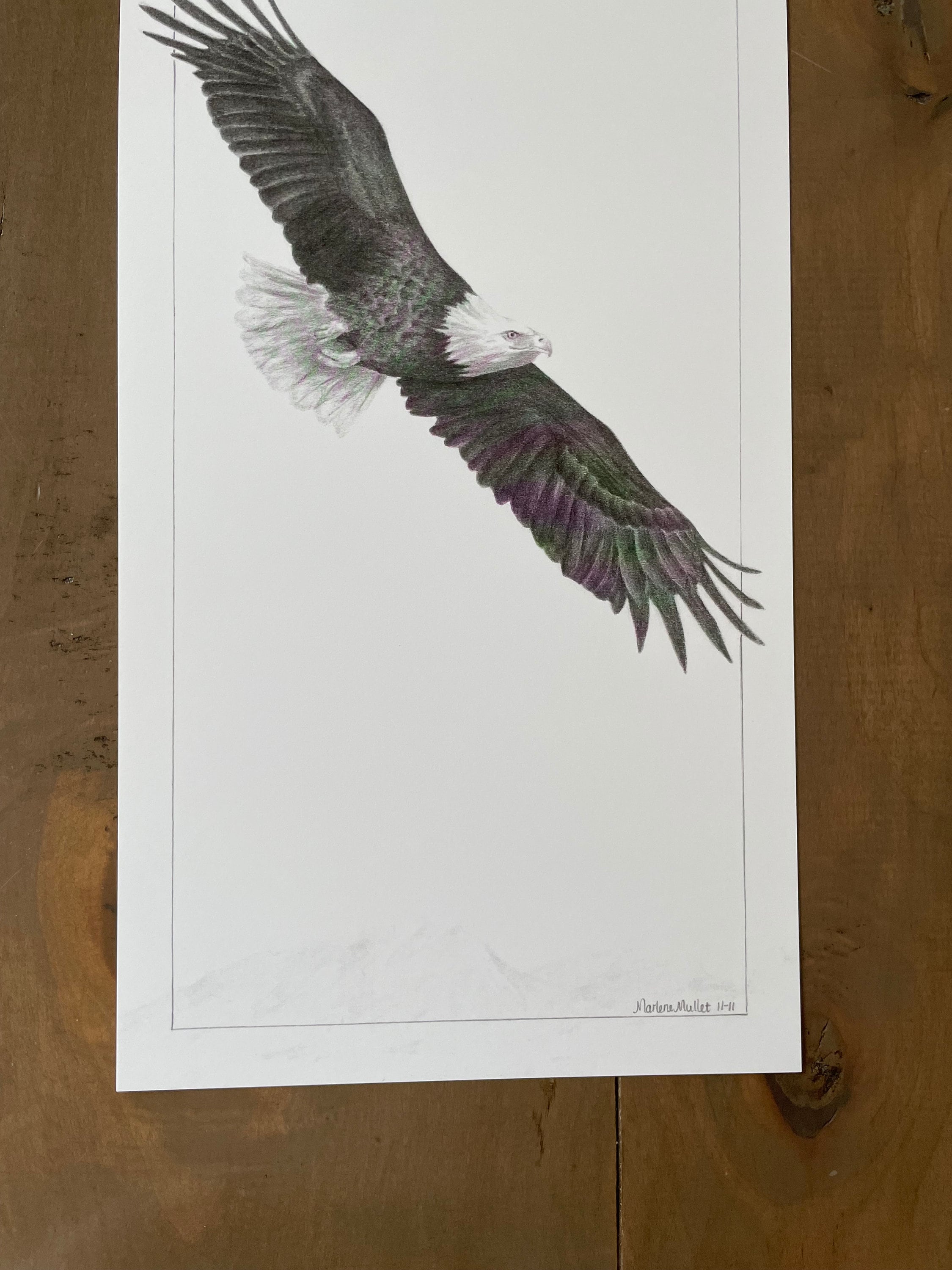 Bald Eagle Art Print Wall Decor for Nature Lover Wildlife - Etsy