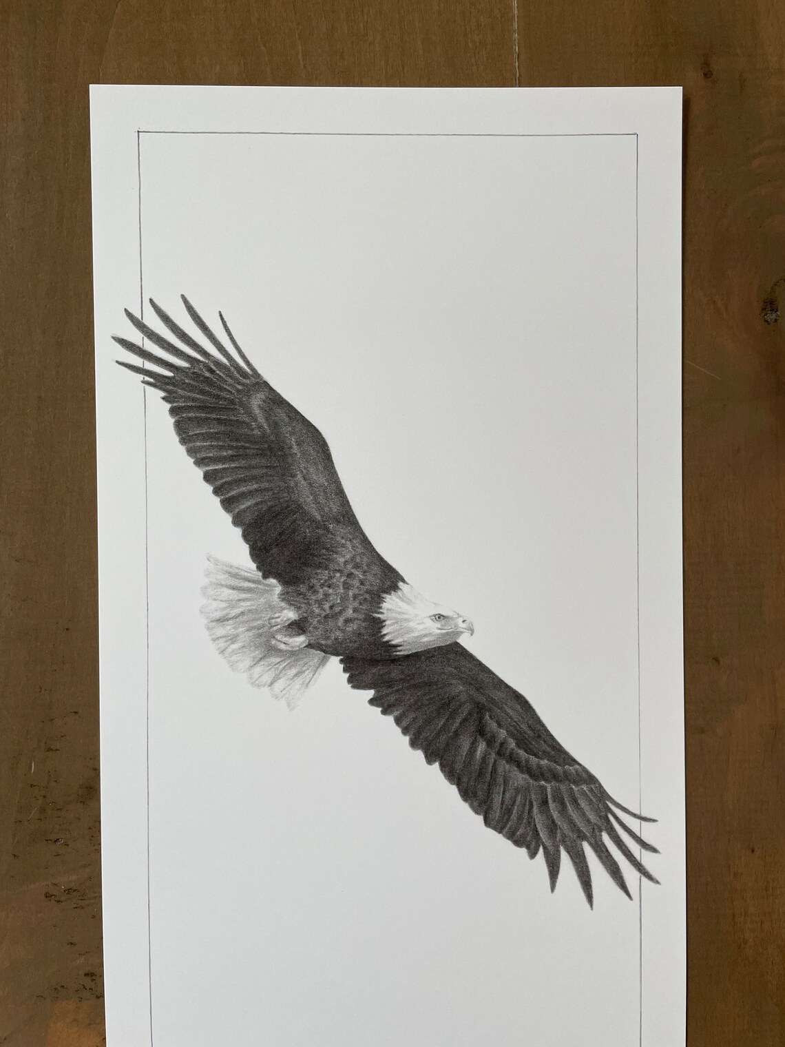 Bald Eagle Art Print Wall Decor for Nature Lover Wildlife - Etsy