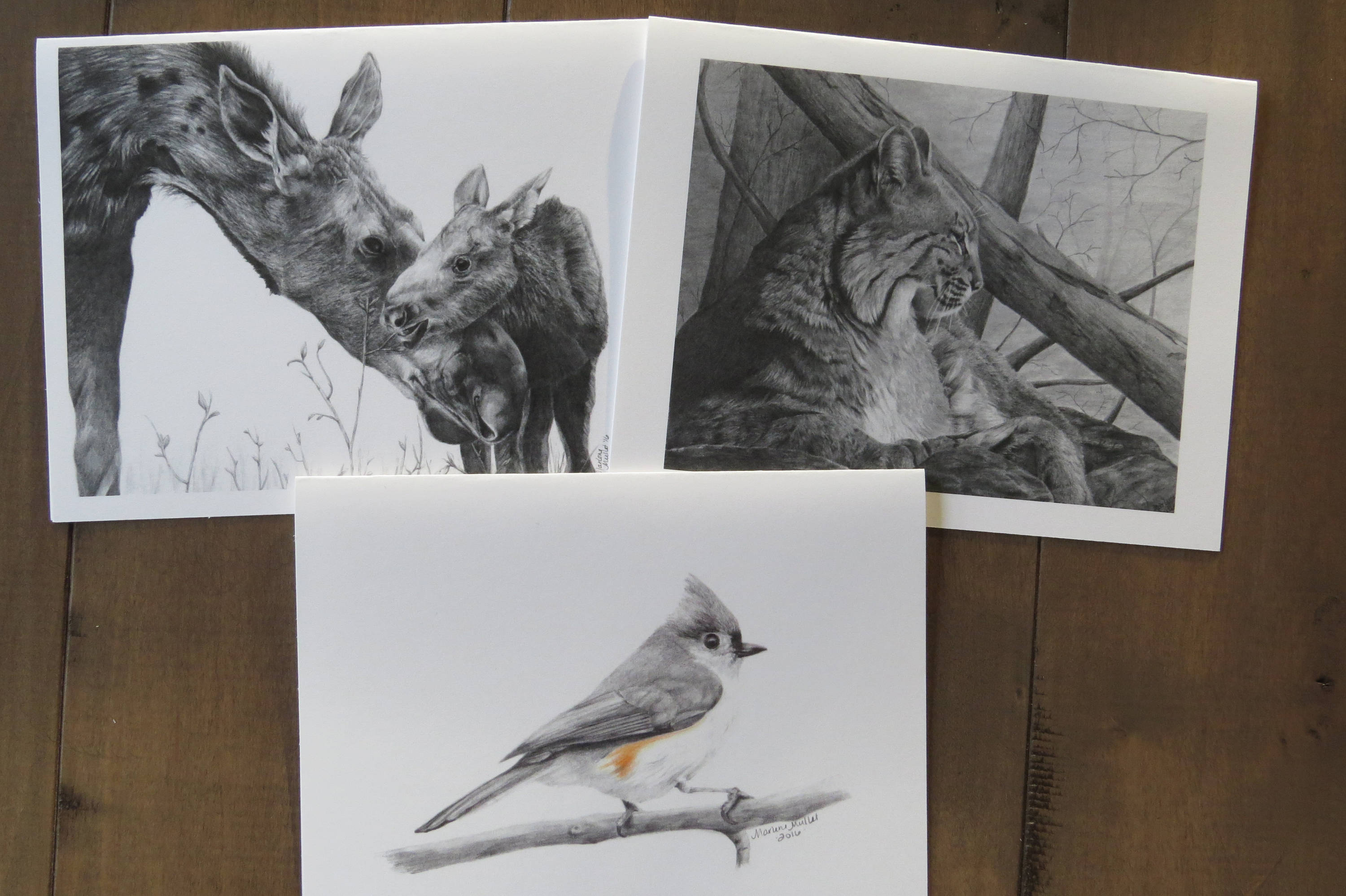 Custom Wildlife Note Card Set, Your Choice of 8 Note Cards, Nature Card ...