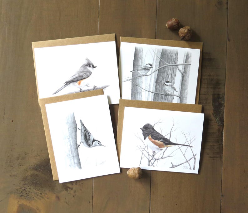 Backyard Birds Note Card Set, Bird Stationary, Hand Drawn Art Card, Set ...