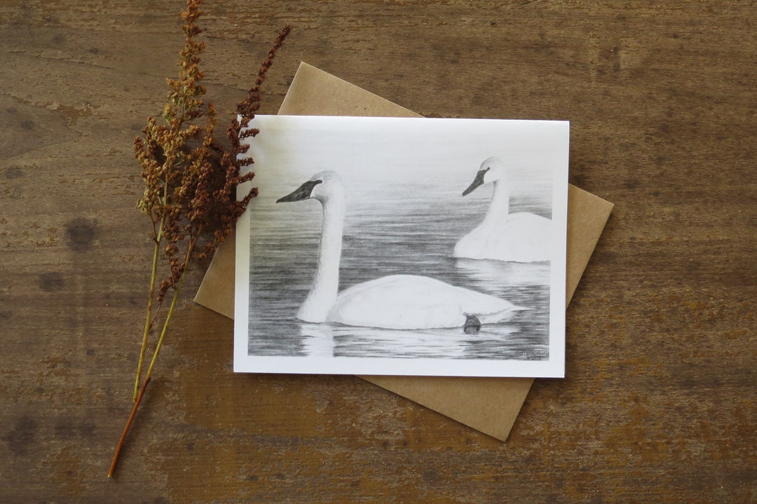 Swan Note Card, Swan Art, Wildlife Art Card, Bird Cards, Nature Card ...