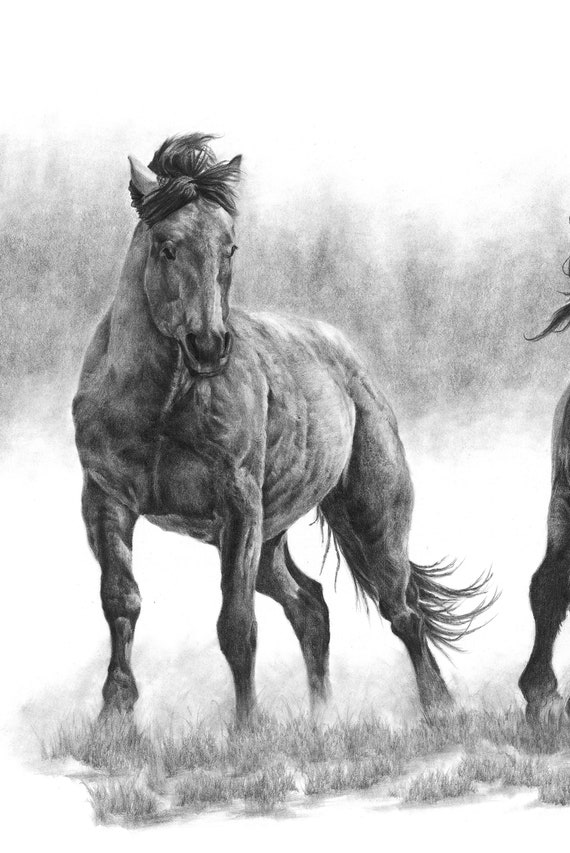 Wild Horse Running Drawing