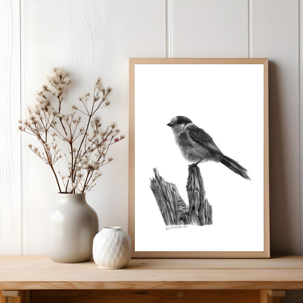 Gray Jay Art Print Bird Art Print Wildlife Decor Gift Cabin - Etsy