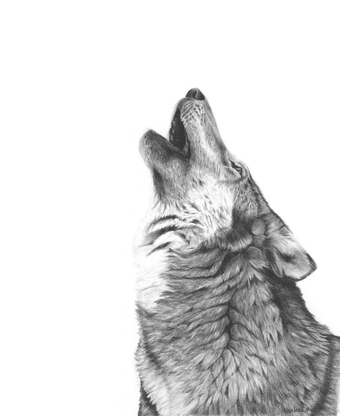 Wolf Note Card Wolf Card Wolf Art Nature Card Wildlife - Etsy