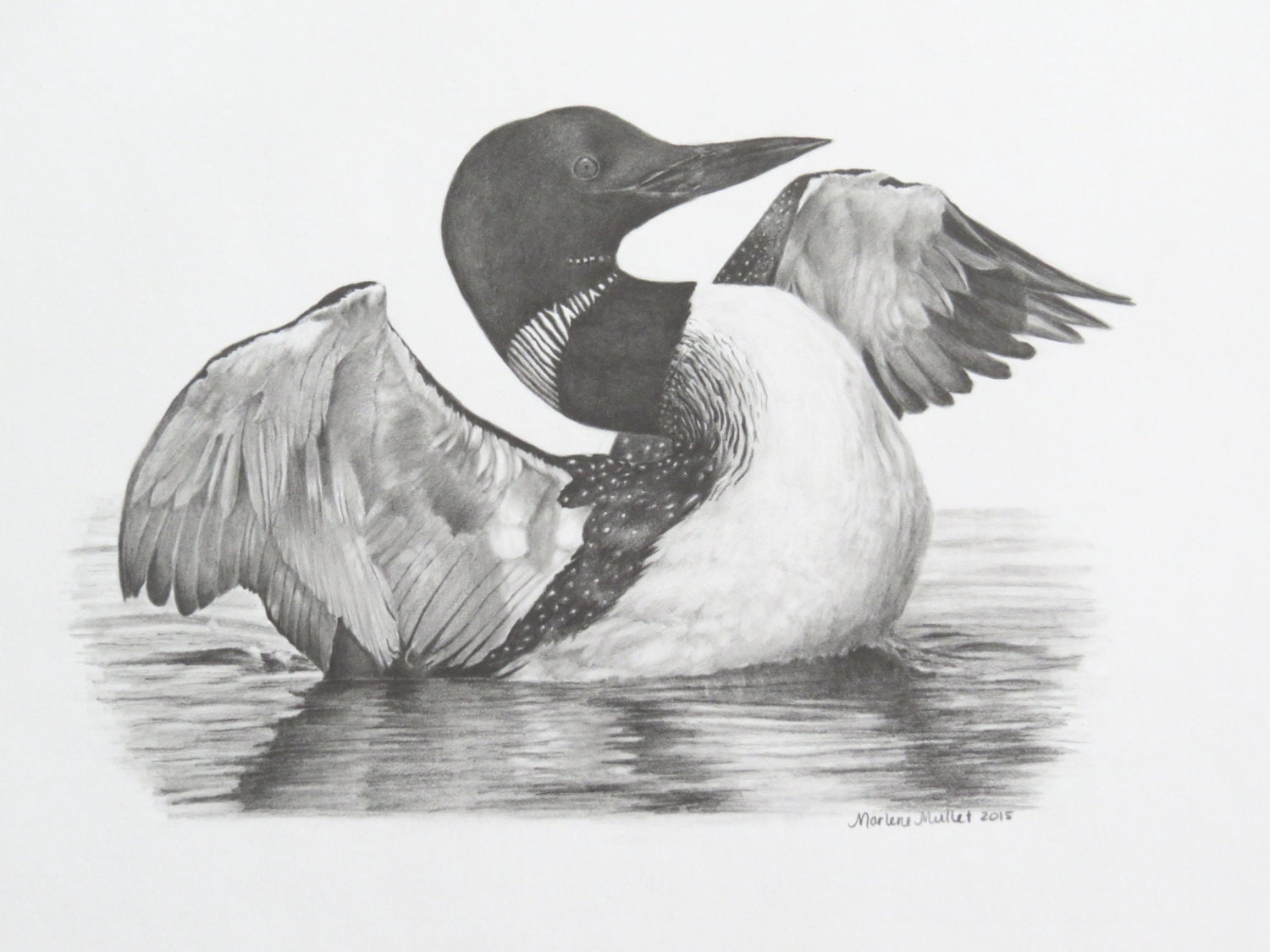 Loon Art Print, Wildlife Art Print, Nature Art, Bird Art, Art Decor ...