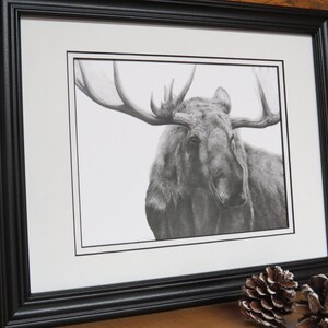 Moose Art Print, Wildlife Wall Art, Gift for Him, Nature Prints ...