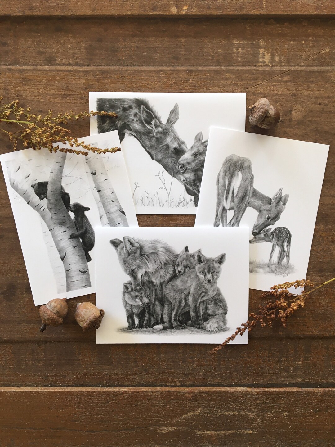 Baby Animal Note Card Set, Wildlife Note Card, Doe With Fawn Card ...