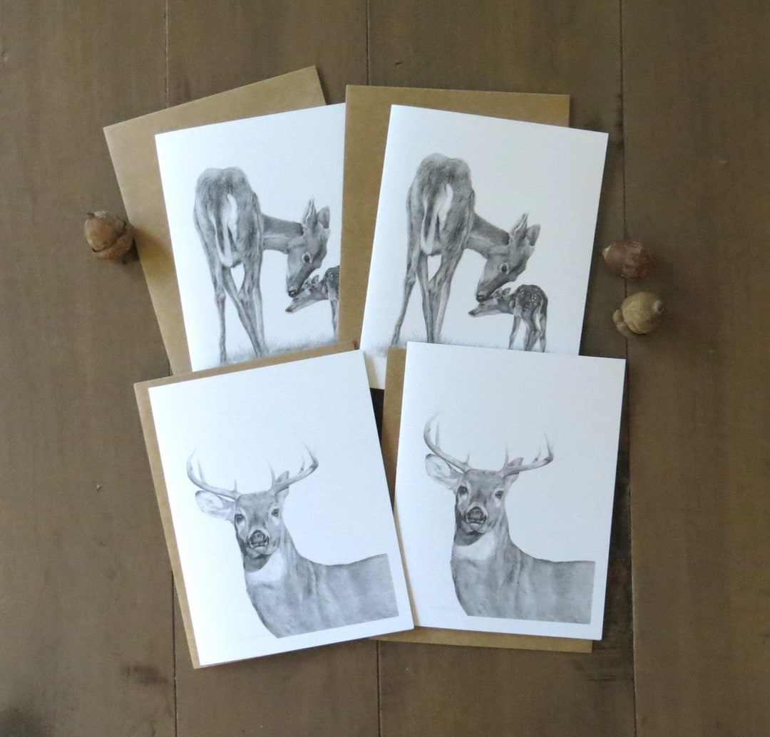 Deer Note Card Set, Black and White Cards, Cards for Kids, Deer Art ...
