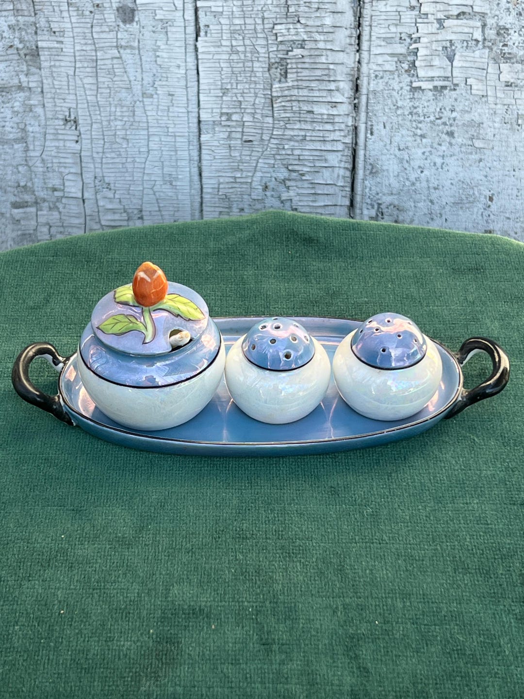 Vintage Noritake Japan Salt and Pepper and Condiment Set - Blue ...