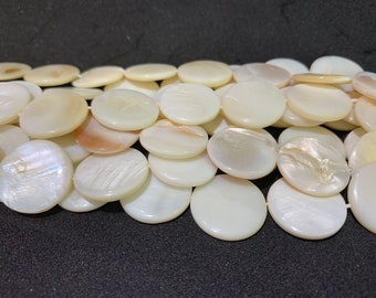 Flat Round Shell - Etsy