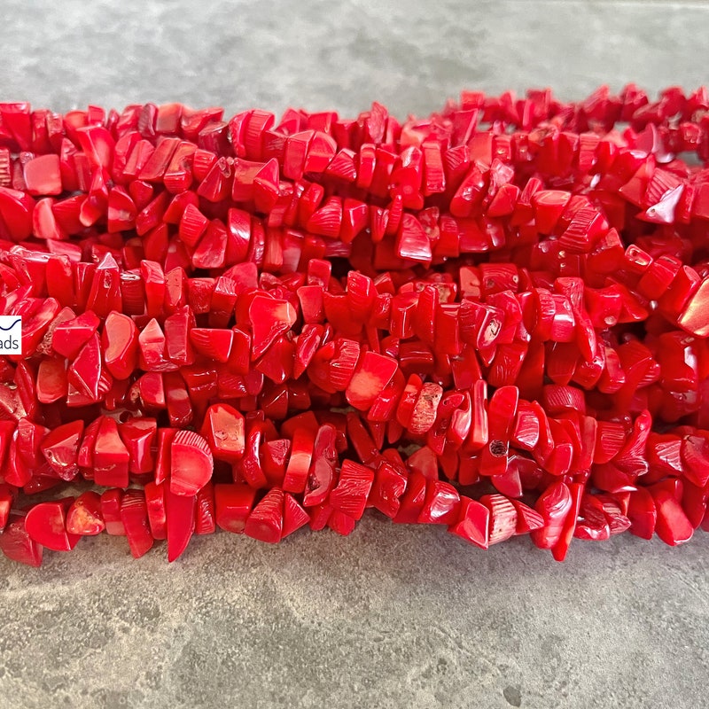 Coral Chips - Etsy