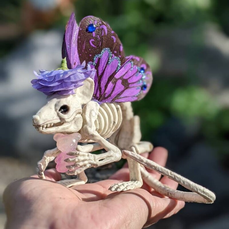 Butterfly Skeleton - Etsy