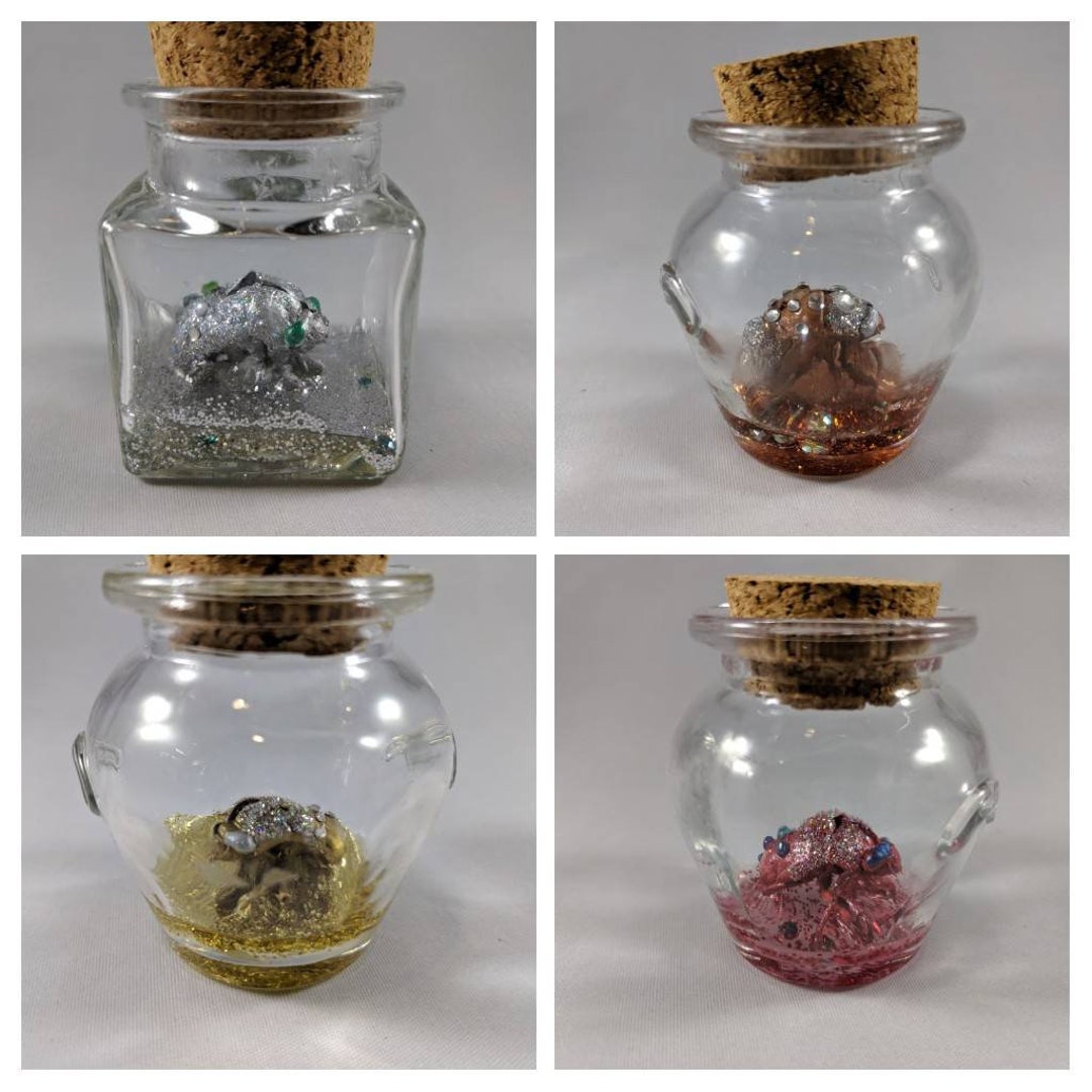 Small Fauxberge Cicadas | Cicada | Insect | Bug | Shell | Casing ...