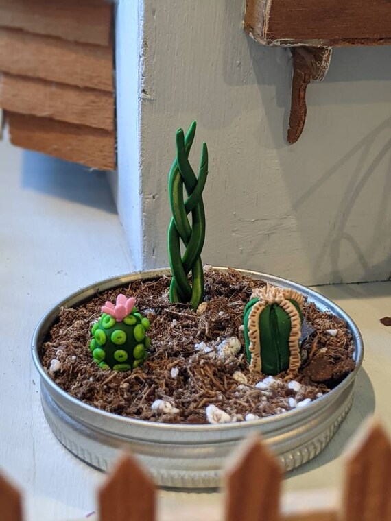 Free Standing Miniature Cacti dollhouse cacti fairy garden | Etsy