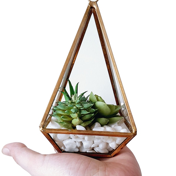 Hanging Terrarium - Etsy