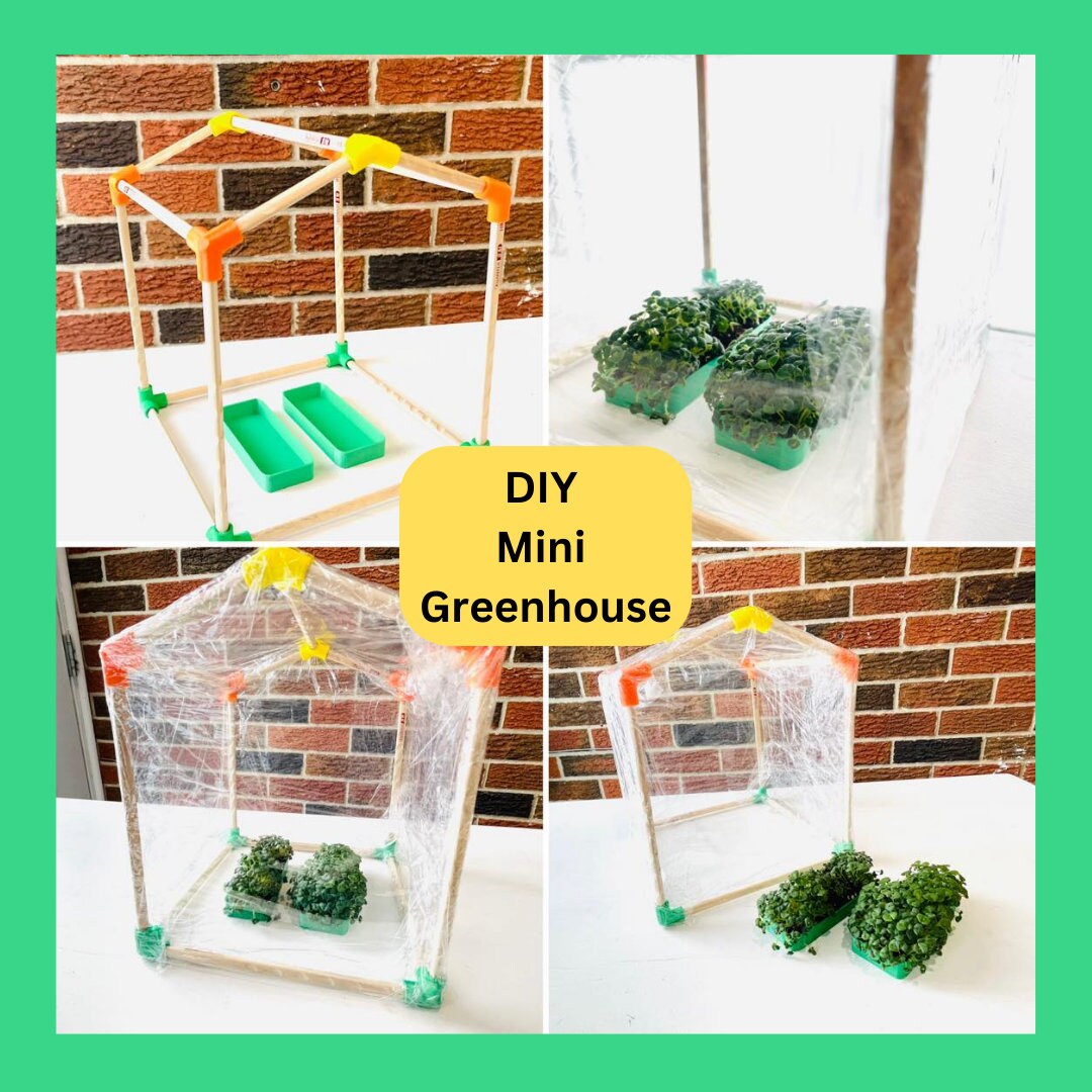 DIY Mini Greenhouse Kit, Chia Seed Garden, Seed Starter, Window Sill ...
