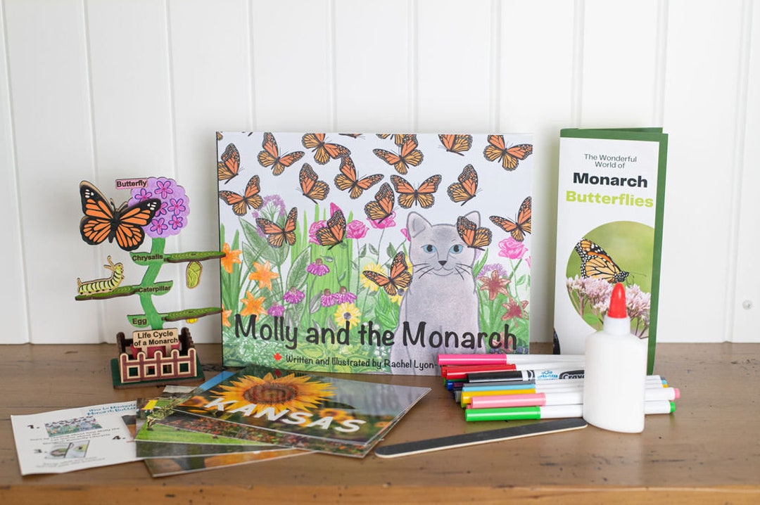 Monarch Butterfly Lifecycle Art and Learn Box, Children's Book ...