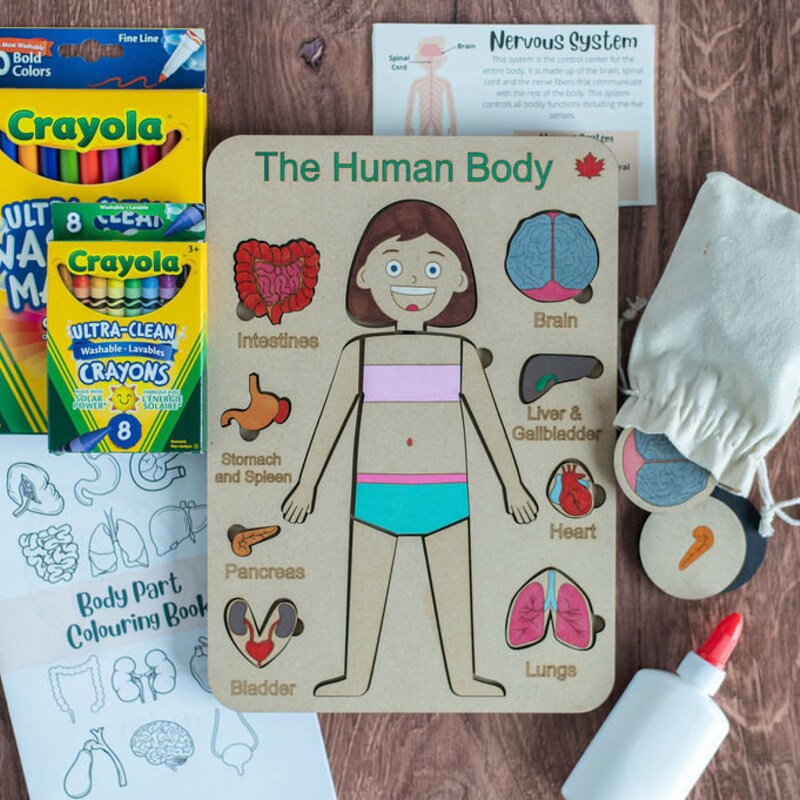 Human Body Puzzle - Etsy