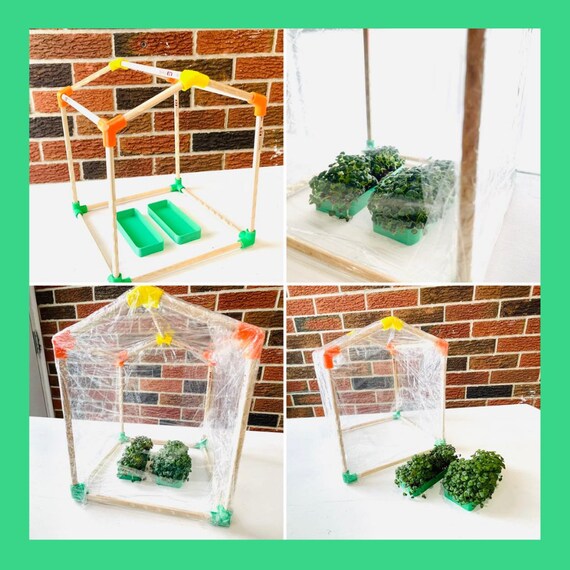 Mini Greenhouse Garden Kit Craft Your Own Greenhouse: Dreamy Garden