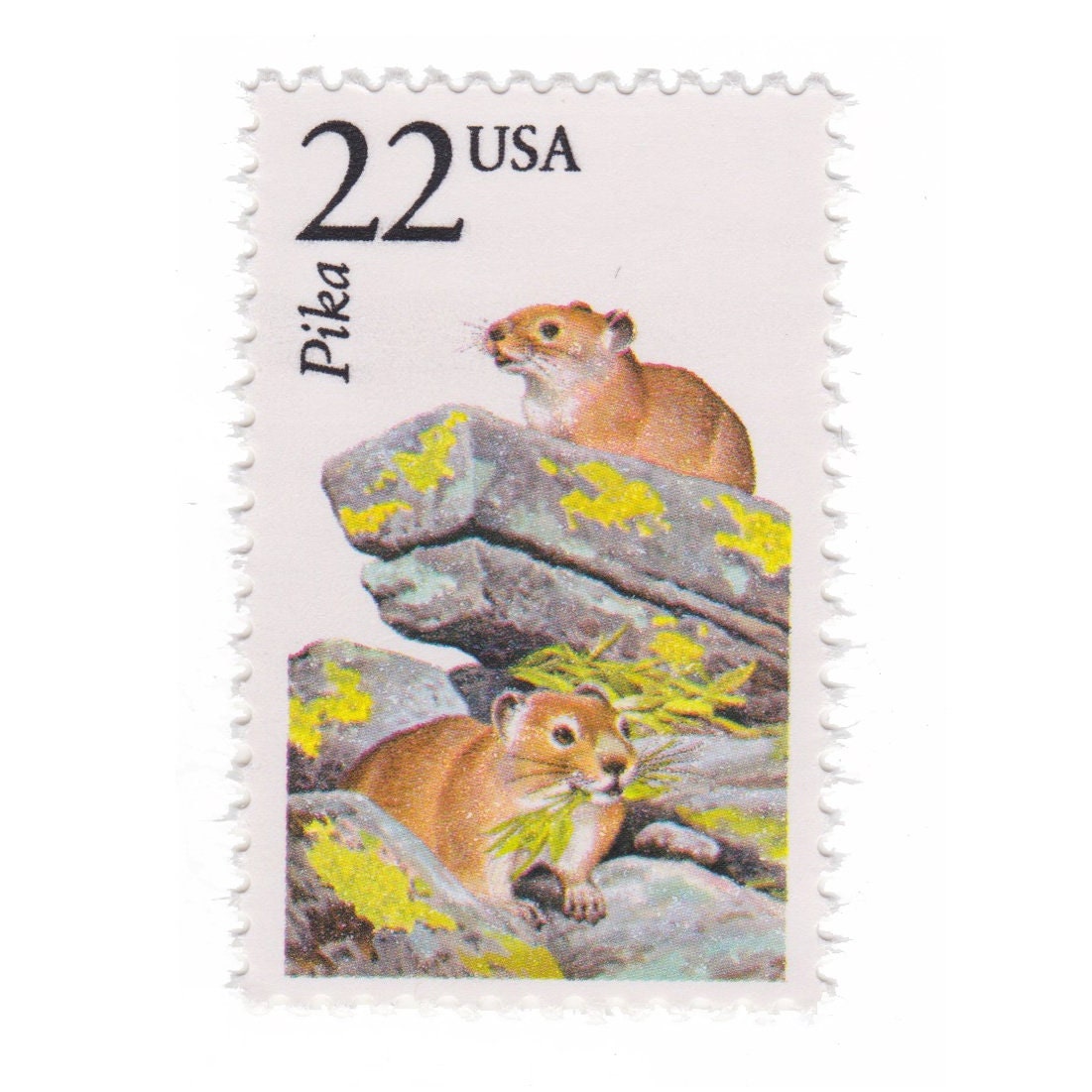 1987 22c Pika North American Wildlife Series Single Vintage Postage ...